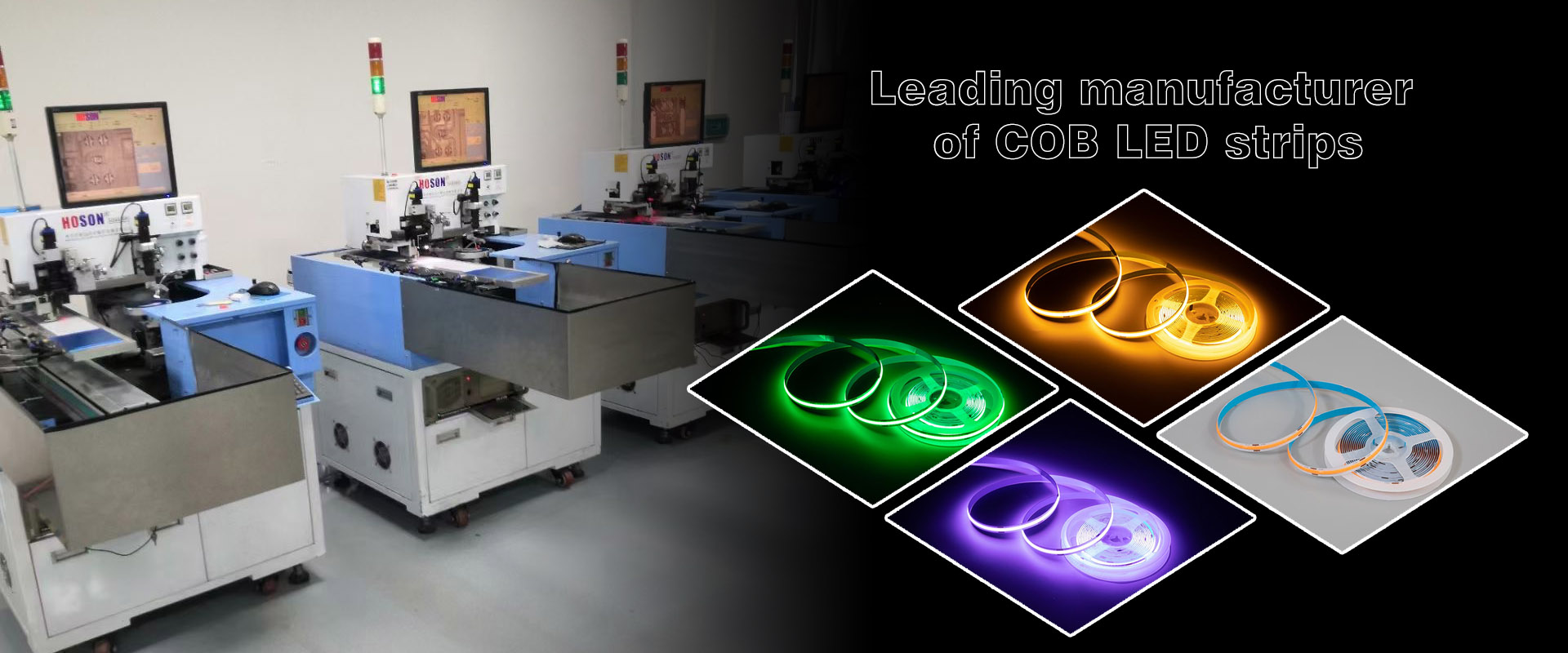 China led module manufacturer, led strip supplier, neon flex led strips ...